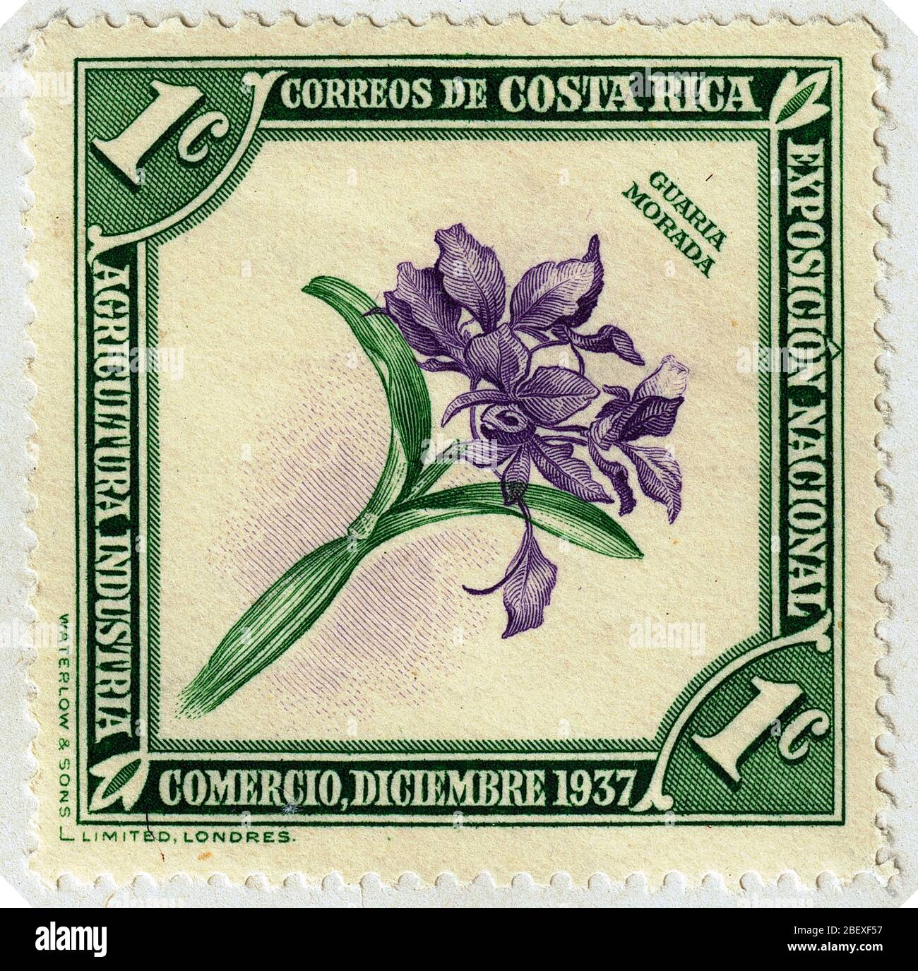 1937 stamp hi-res stock photography and images - Alamy