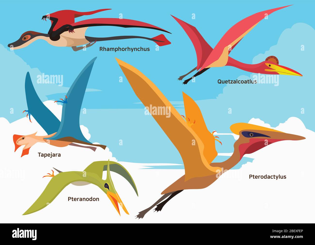 Set of wild animal images cartoon character illustration 004 Stock ...