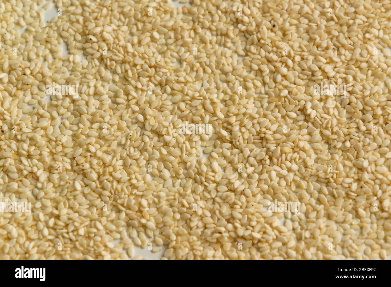 Close up view of dry sesame seeds on white background. Natural oil-rich ...