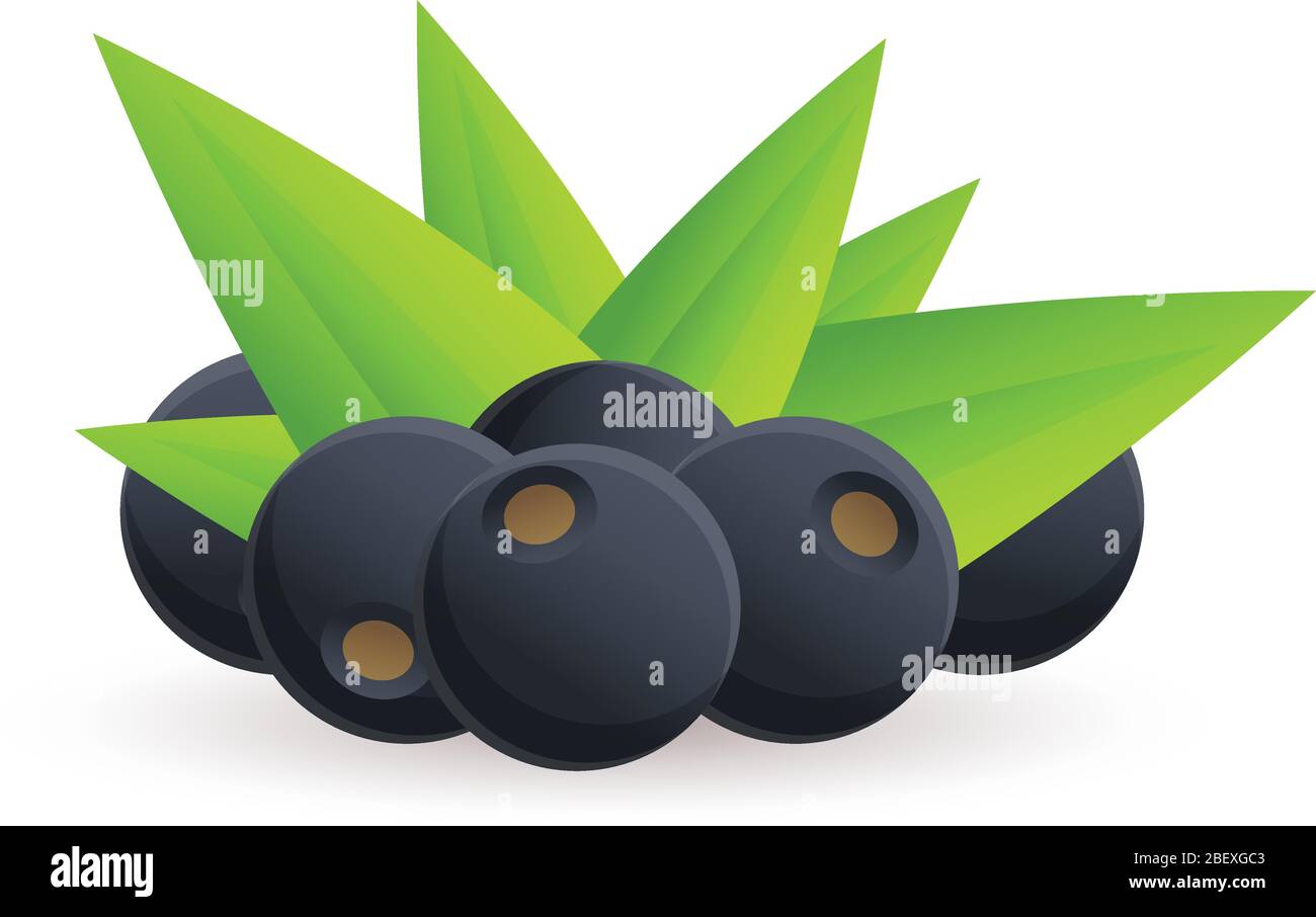 Acai berry icon. Cartoon of acai berry vector icon for web design ...