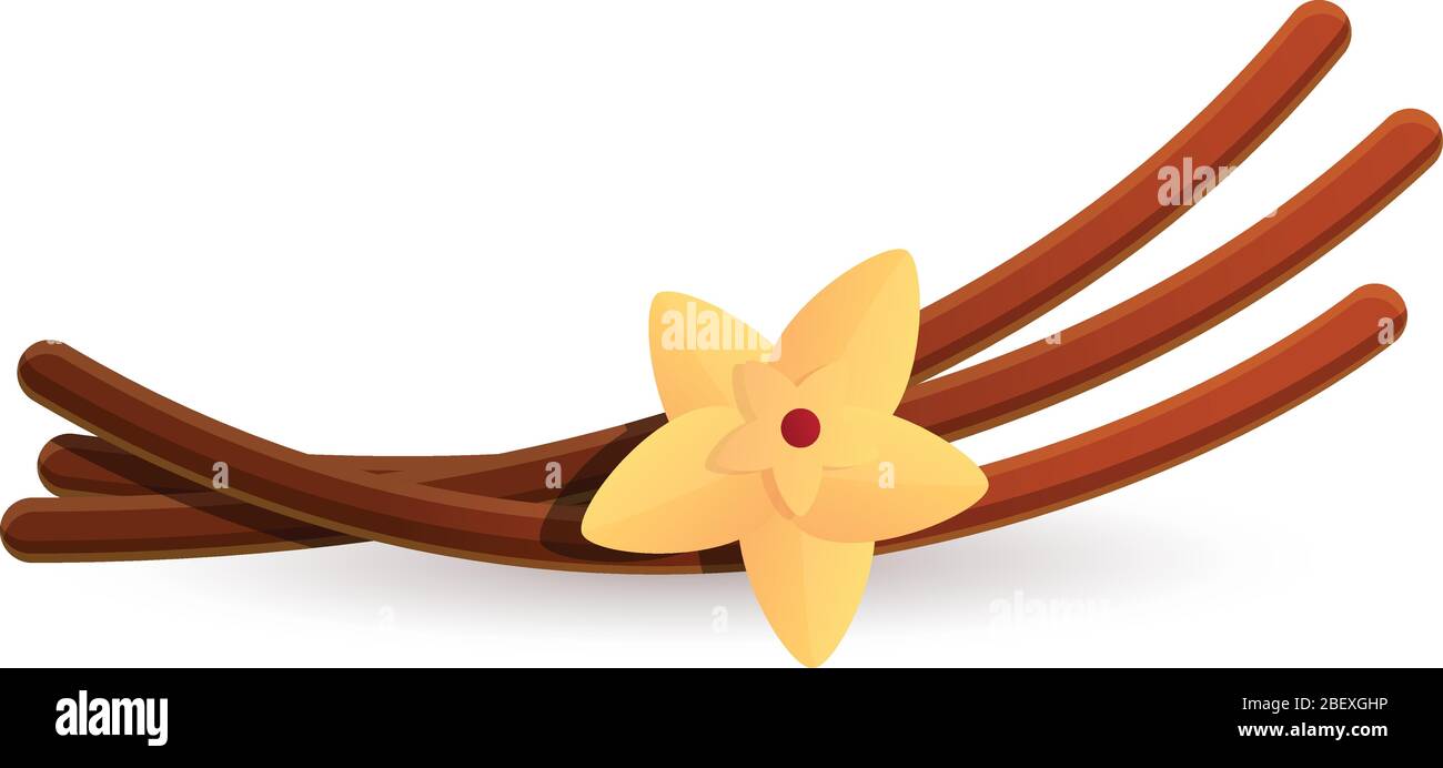 Vanilla sticks icon. Cartoon of vanilla sticks vector icon for web ...