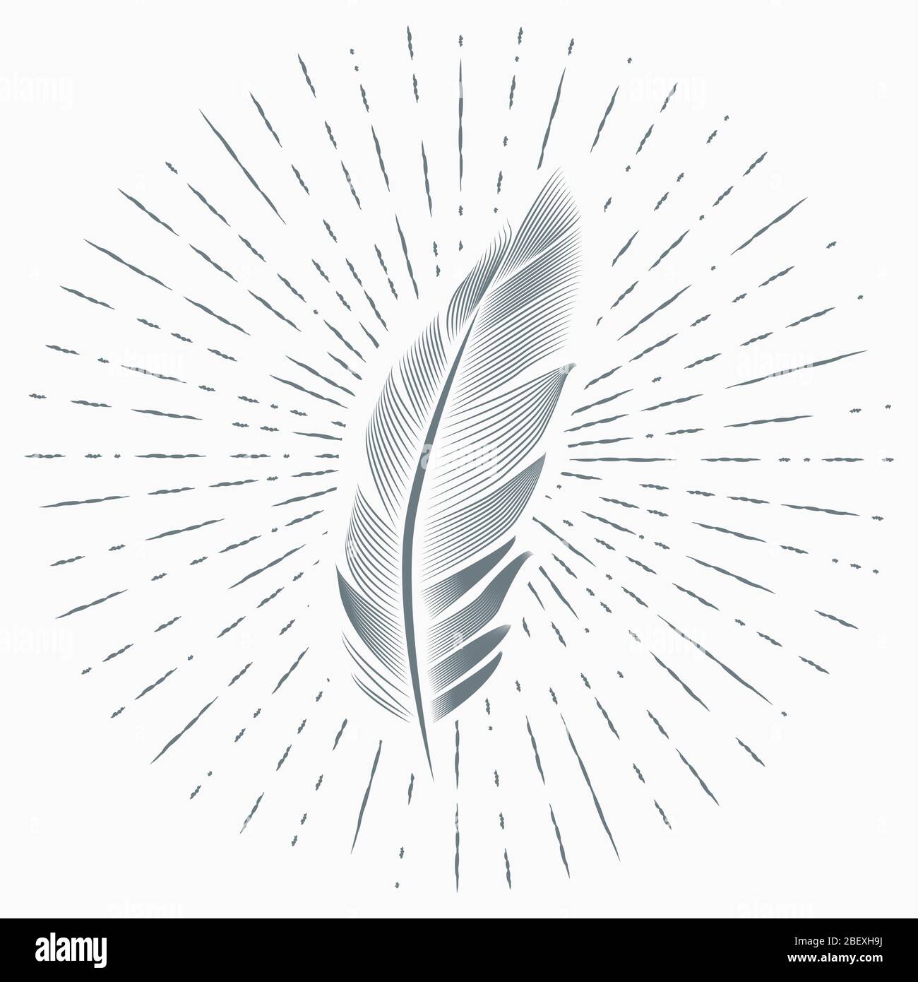 Feather logo type hi-res stock photography and images - Alamy