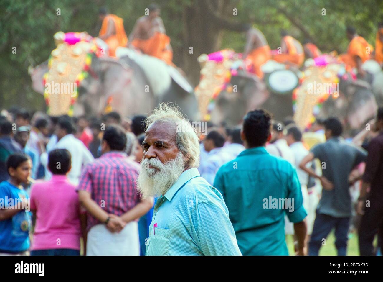 caparisoned elephants decorated deities embedded in golden Kolams held ...