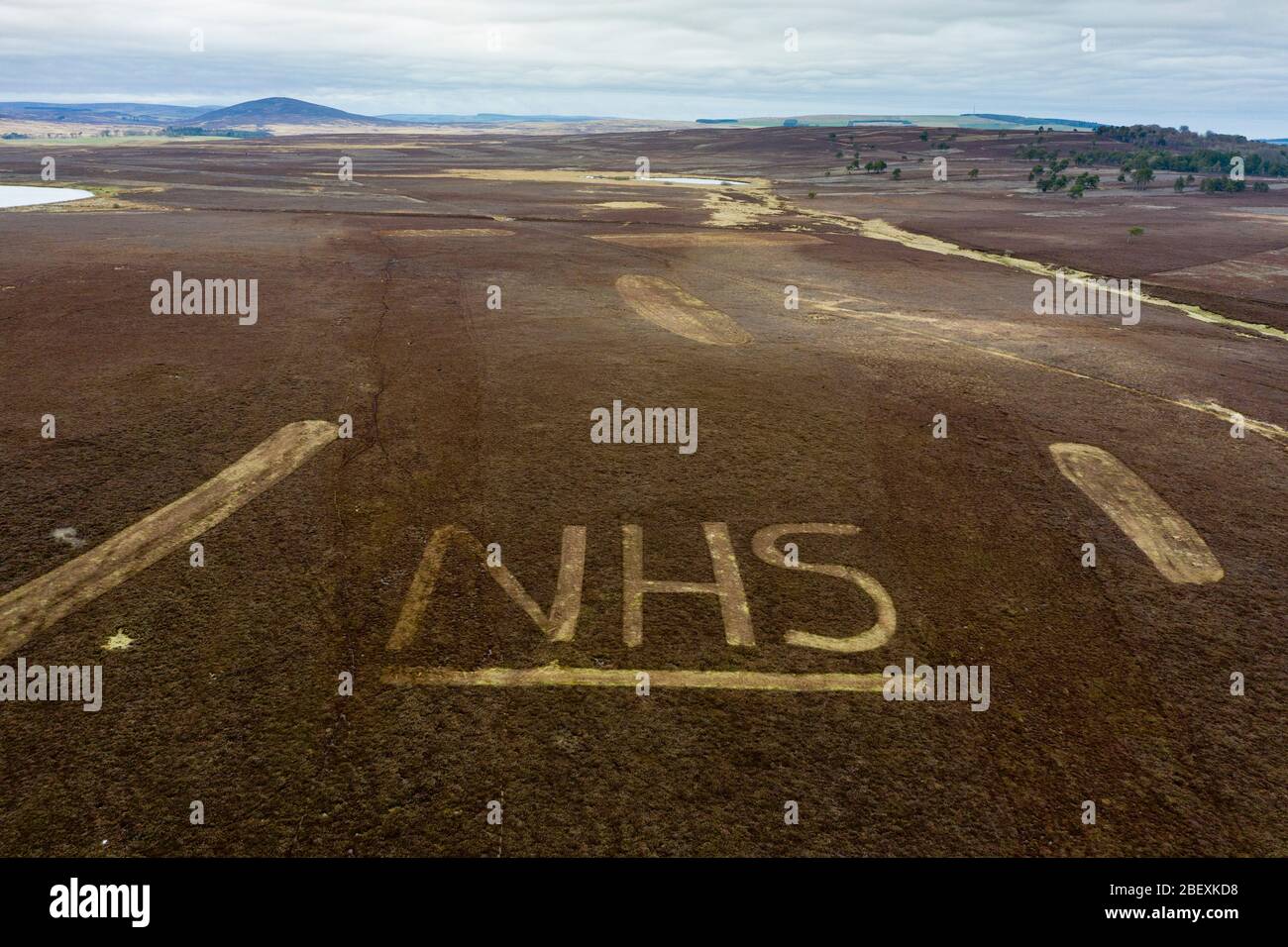 Greenlaw hi-res stock photography and images - Alamy