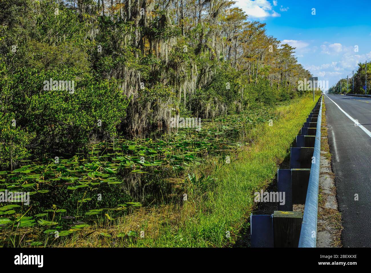 Everglades tropical wetland hi-res stock photography and images - Alamy