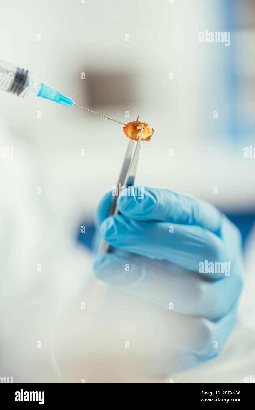 cropped view of biochemist holding making injection to capsule Stock ...
