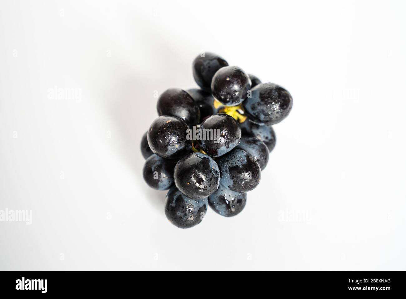 A bunch of black grapes against a plain white background Stock Photo ...