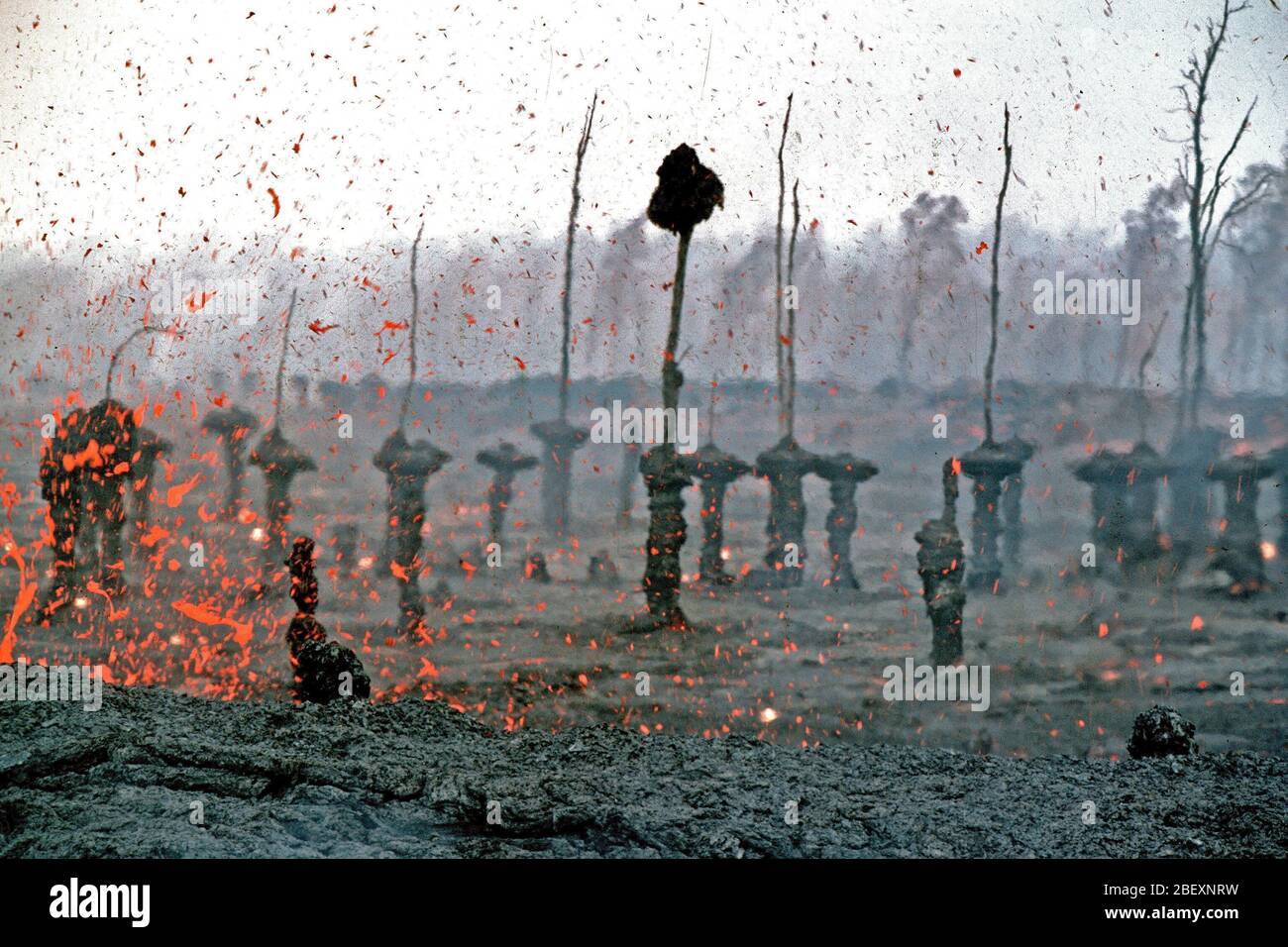 Forest of lava trees resulting from eruption of a 1-km-line of vents ...