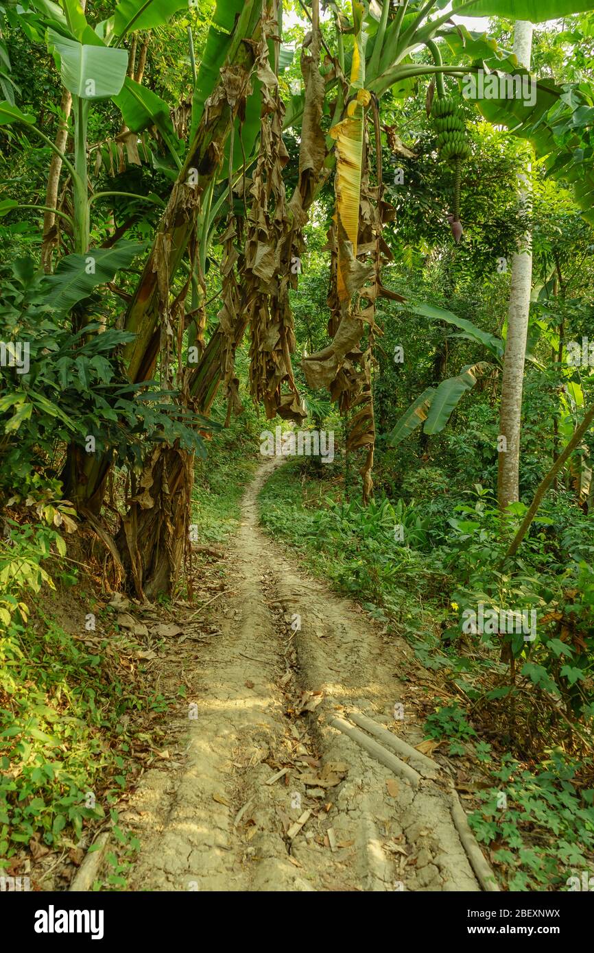 Taken while camping and exploring Sawarna in Banten, Java, Indonesia ...