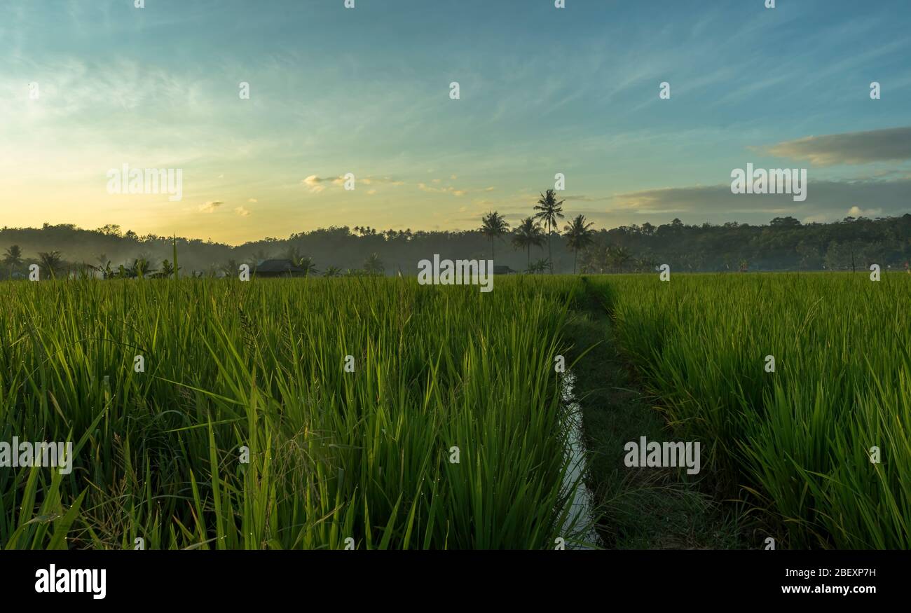 Taken while camping and exploring Sawarna in Banten, Java, Indonesia ...