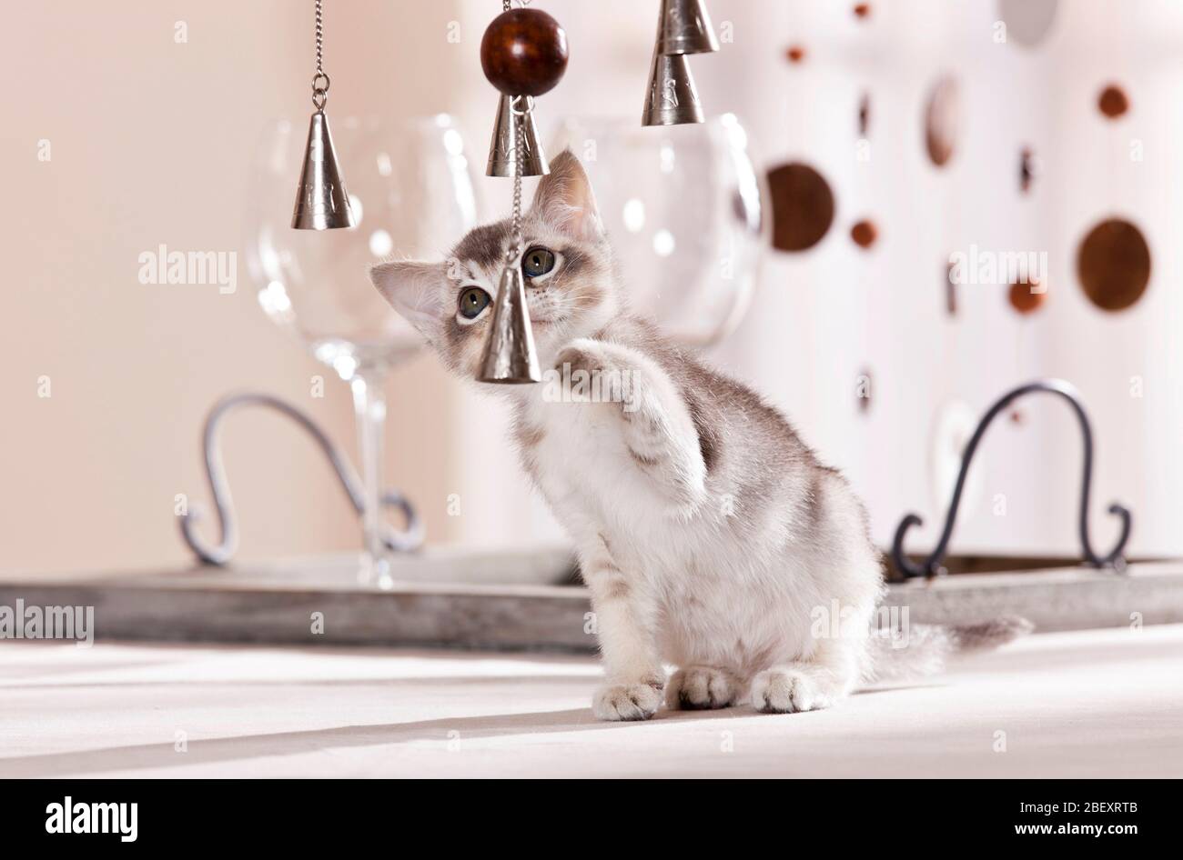 Silver bells hi-res stock photography and images - Alamy