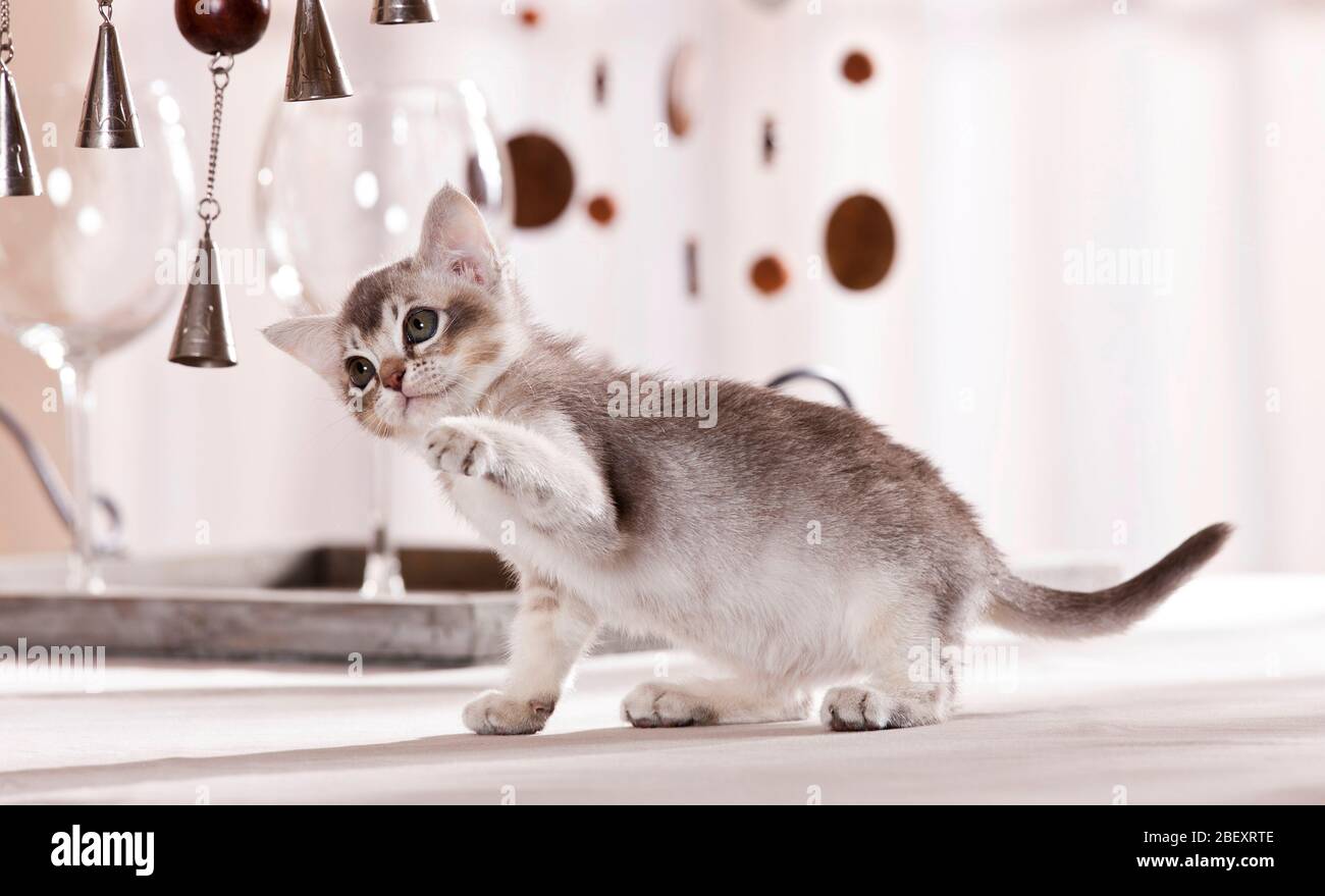 Silver bells hi-res stock photography and images - Alamy