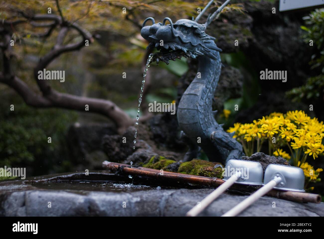 Tokyo water dragon hi-res stock photography and images - Alamy