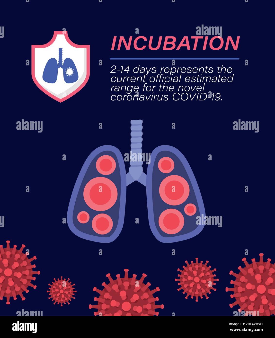 Covid 19 virus incubation at lungs vector design Stock Vector Image ...