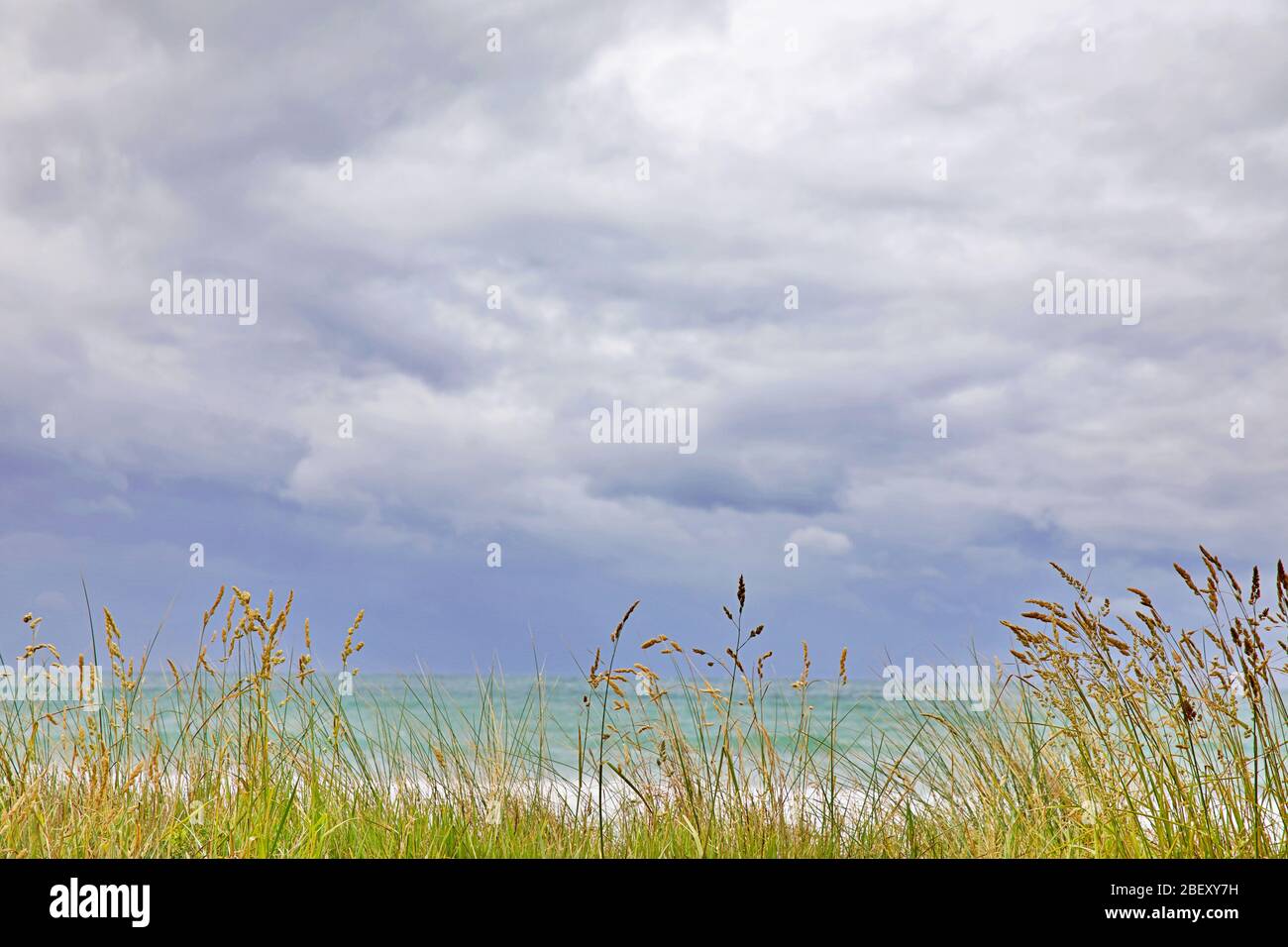 Timaru beach hi-res stock photography and images - Alamy