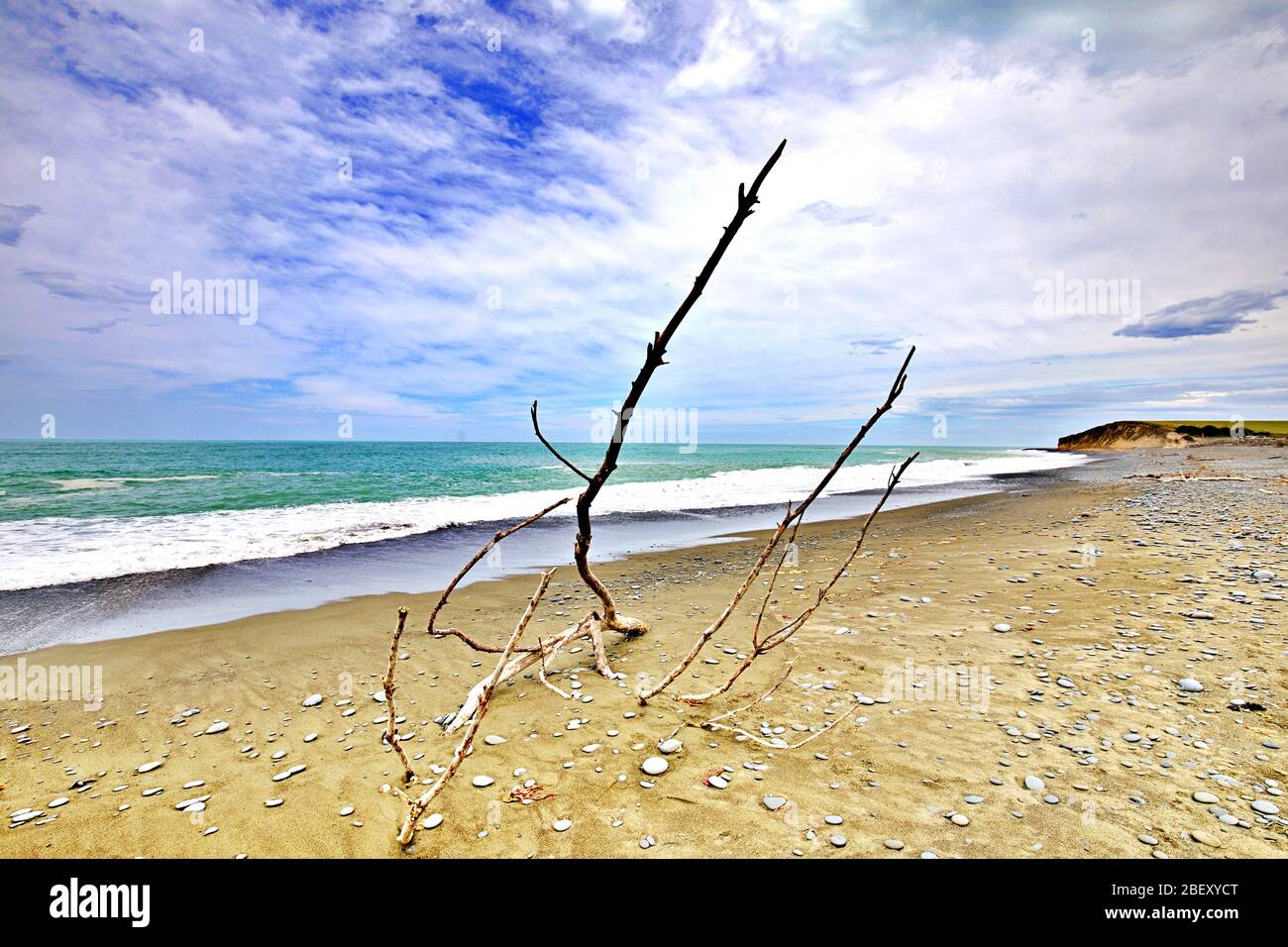 Timaru beach hi-res stock photography and images - Alamy
