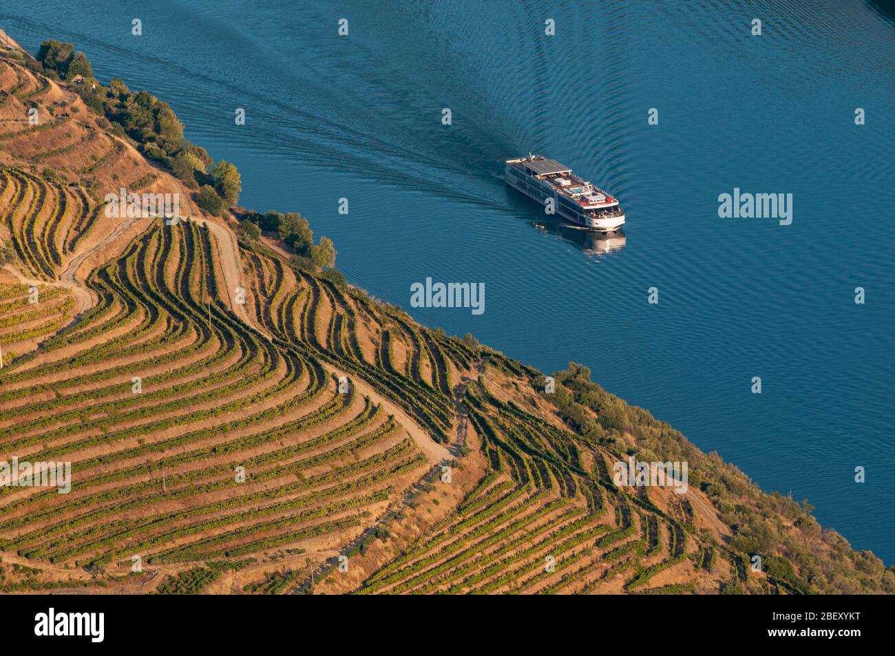 Unesco landscape of the Douro valley with its vineyards and the cruise ...