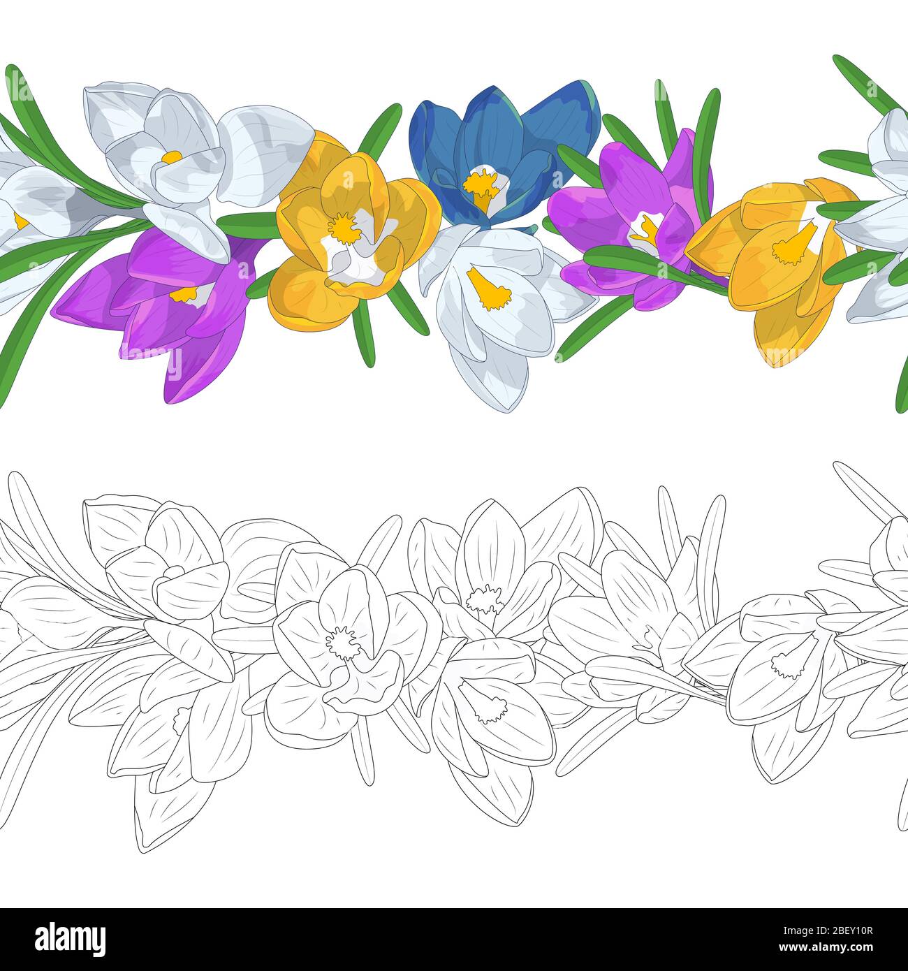 Hand drawn colorful and monochrome crocus flowers seamless brushes ...