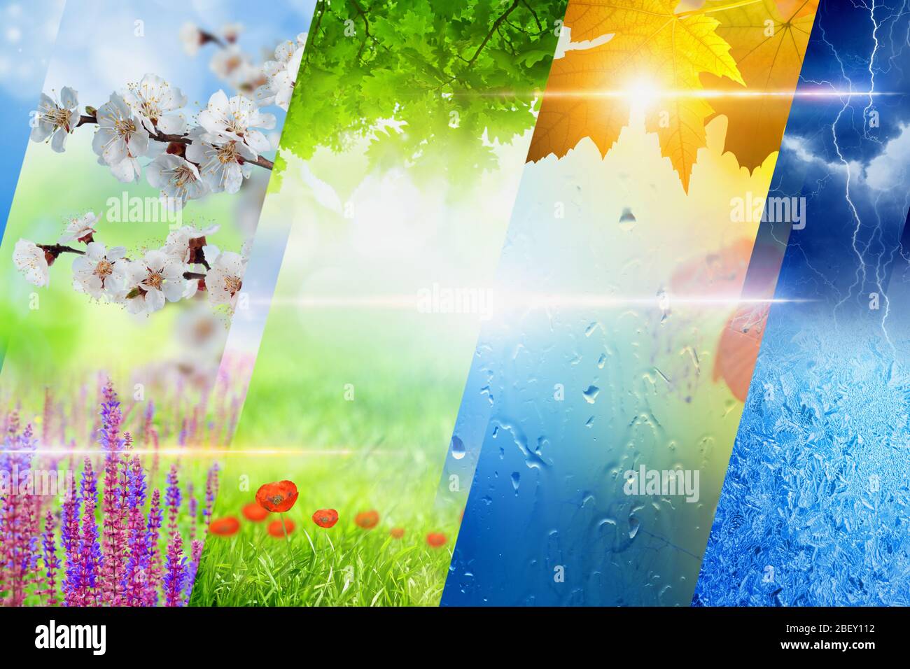 4 Seasons Of The Year