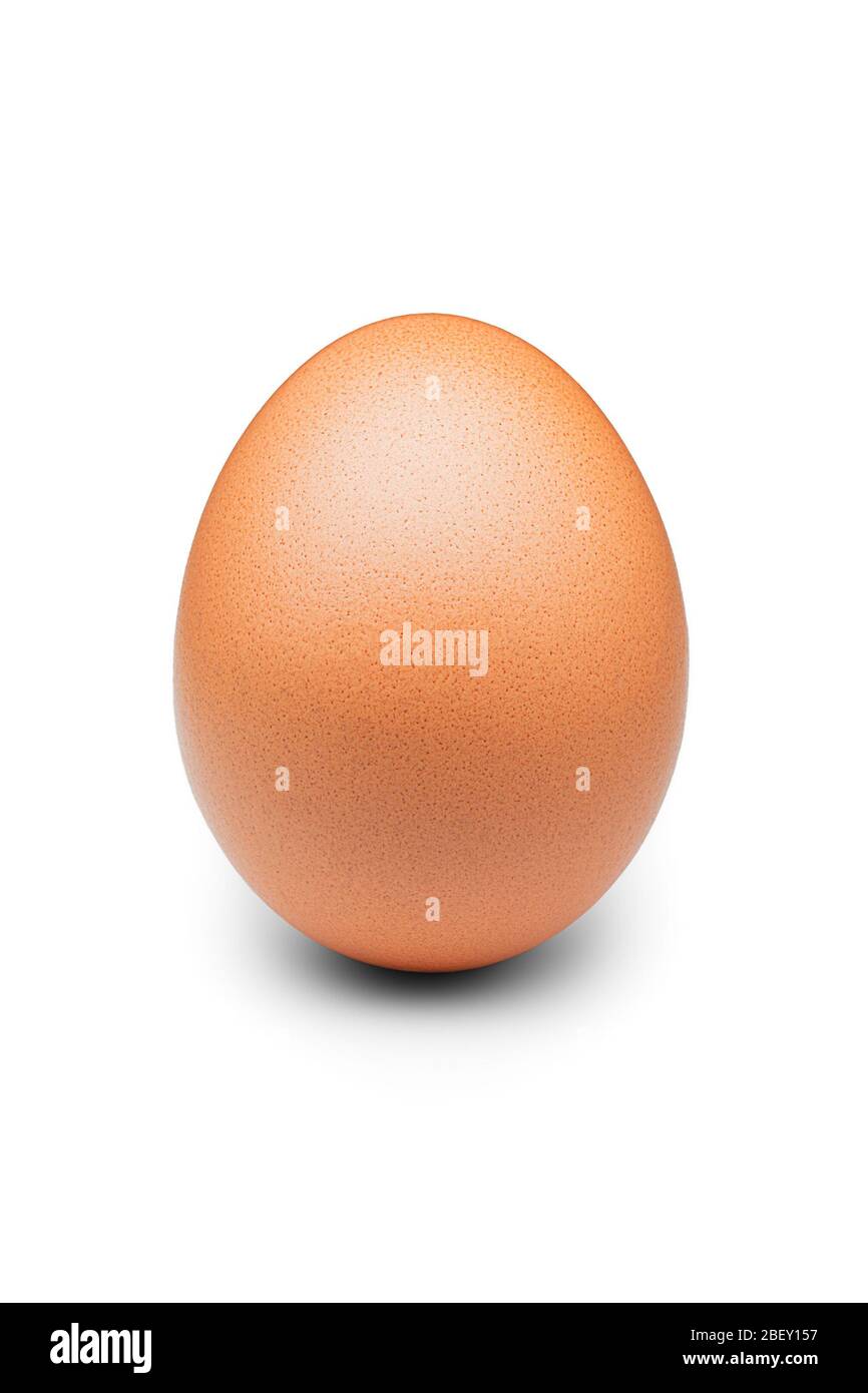 One chicken egg close-up isolated on a white background Stock Photo - Alamy
