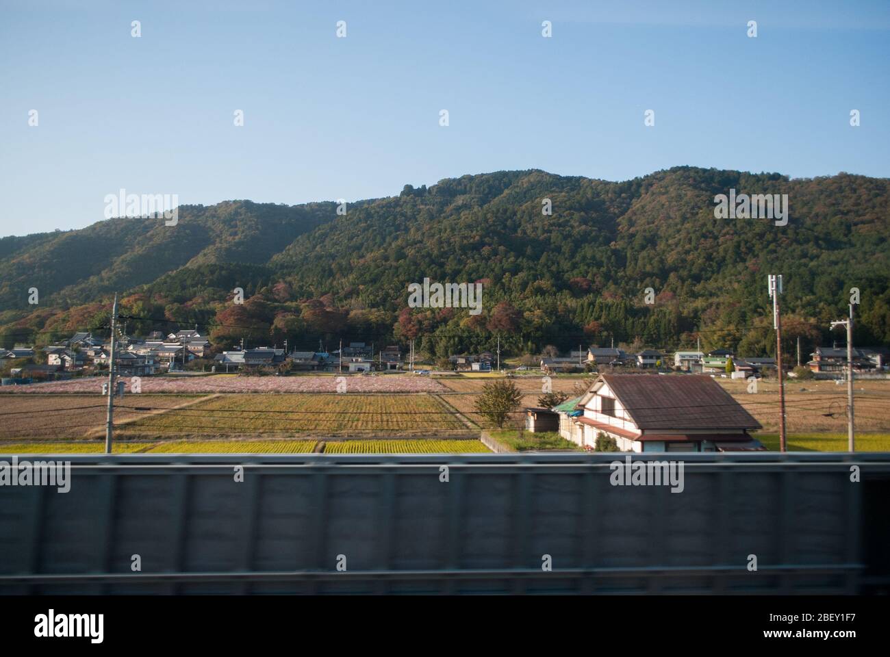 View of Japanese Countryside Fields in Tokyo, Japan Stock Photo - Alamy