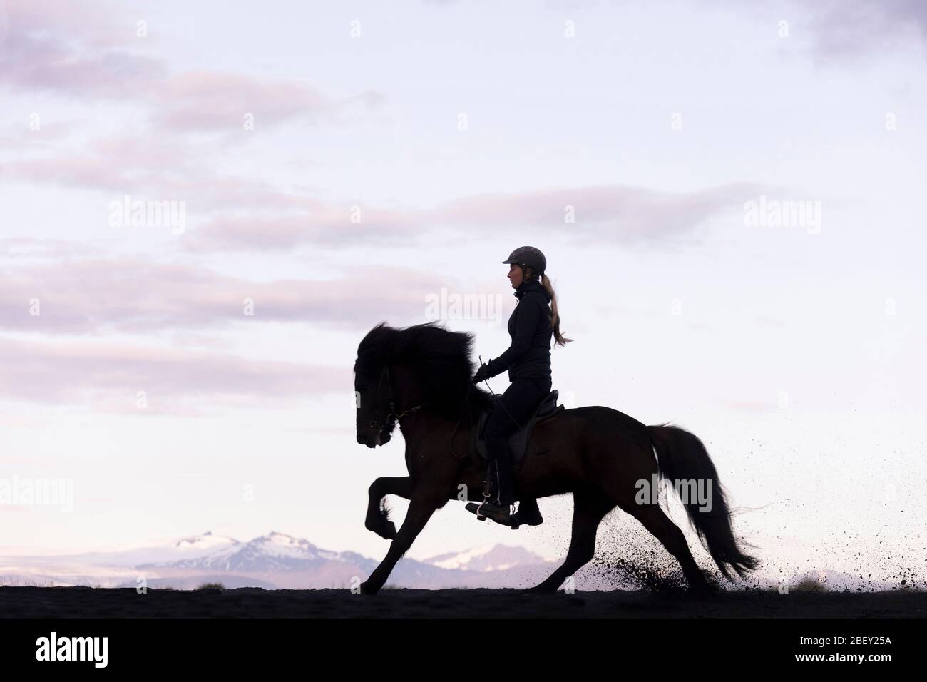 Horse And Rider Galloping