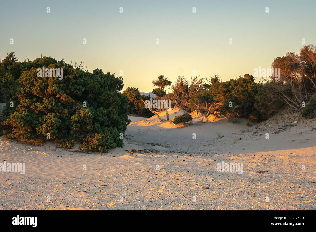 Simos beach in elafonisos greece hi-res stock photography and images ...
