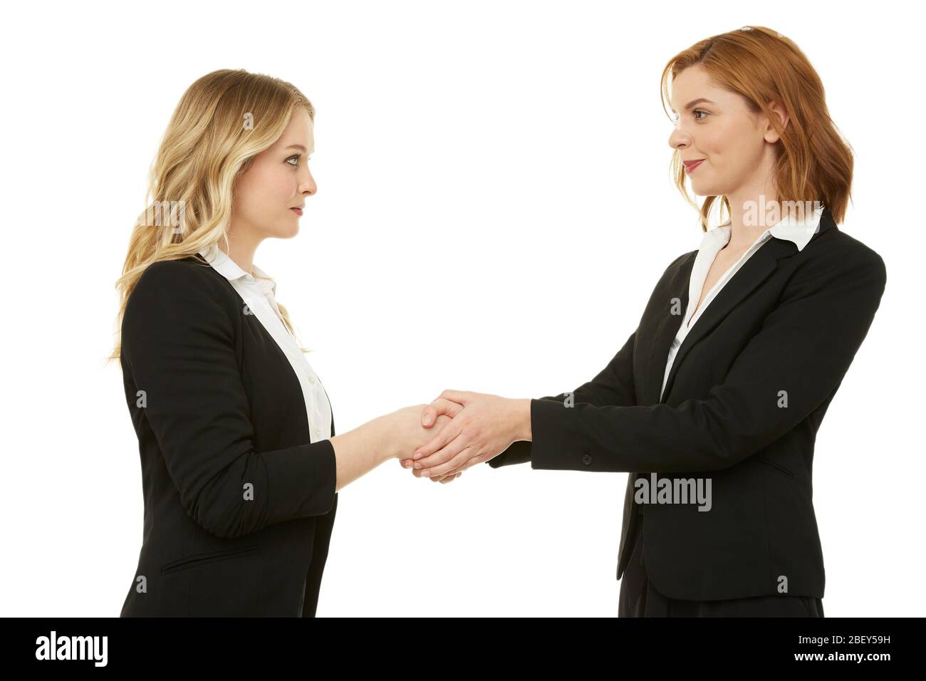 Two business women shaking hands Stock Photo - Alamy
