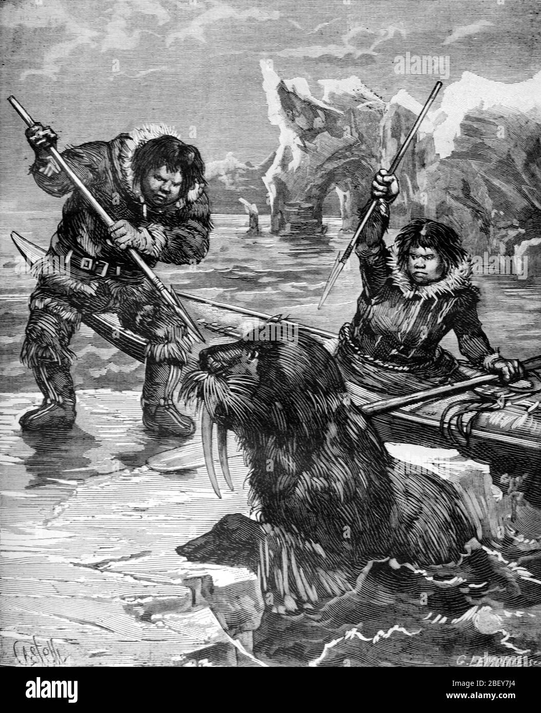 Eskimos or Inuit Hunting Walrus, Odobenus rosmarus, or Walrus Hunt ...