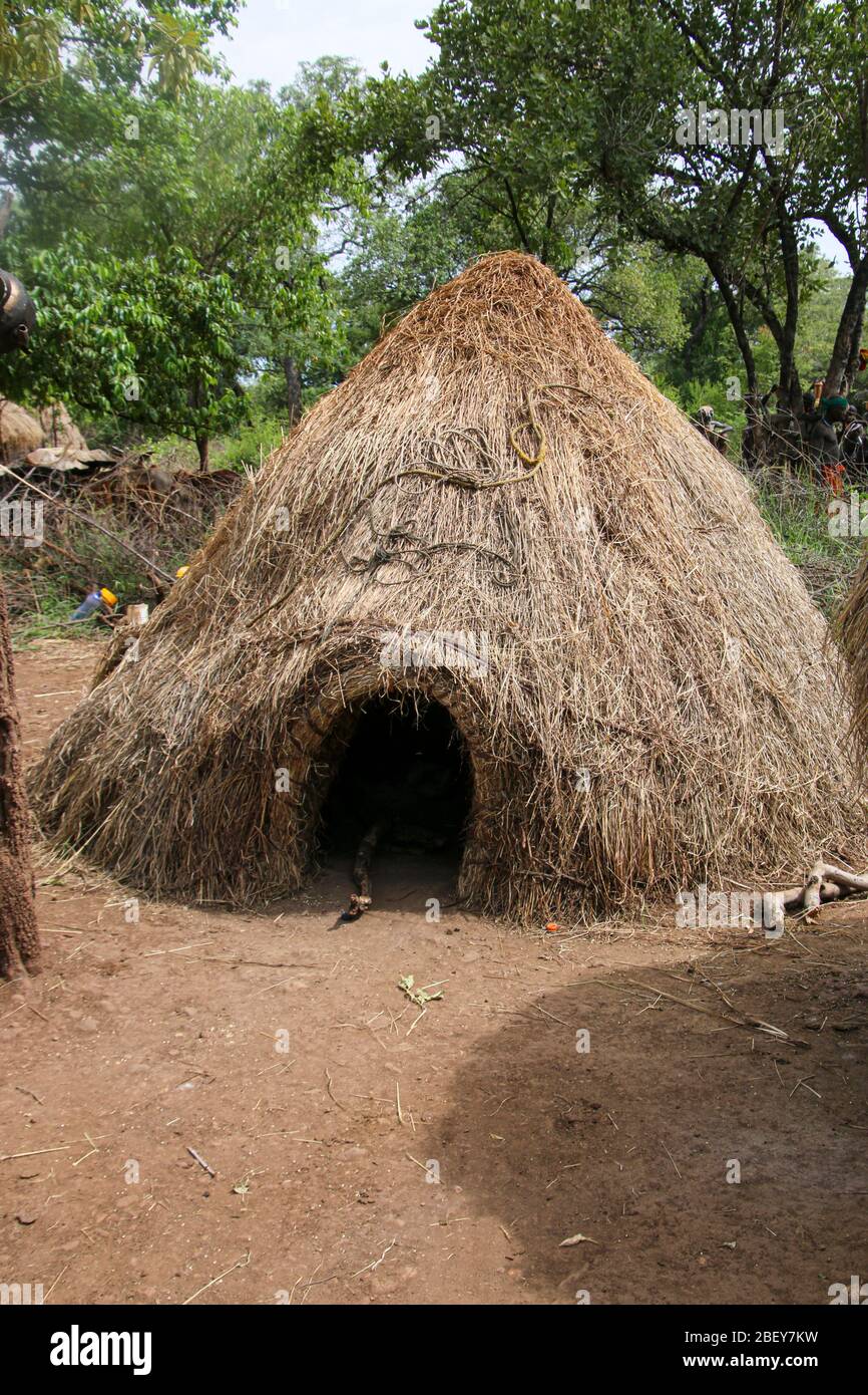Thatched huts in a Mursi village. A nomadic cattle herder ethnic group ...