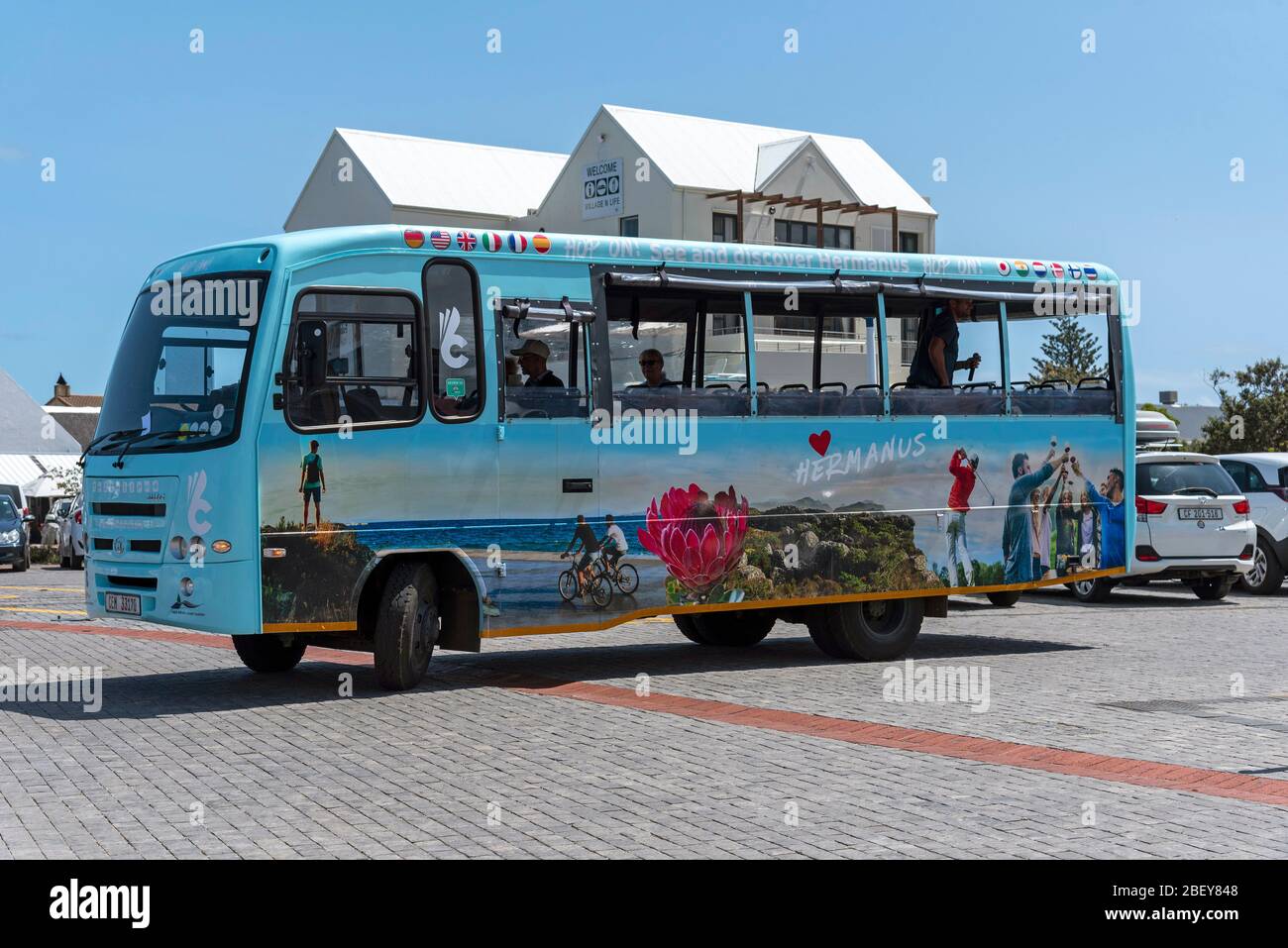 Hermanus, Western Cape, South Africa. 2019. A blue tour bus which ...