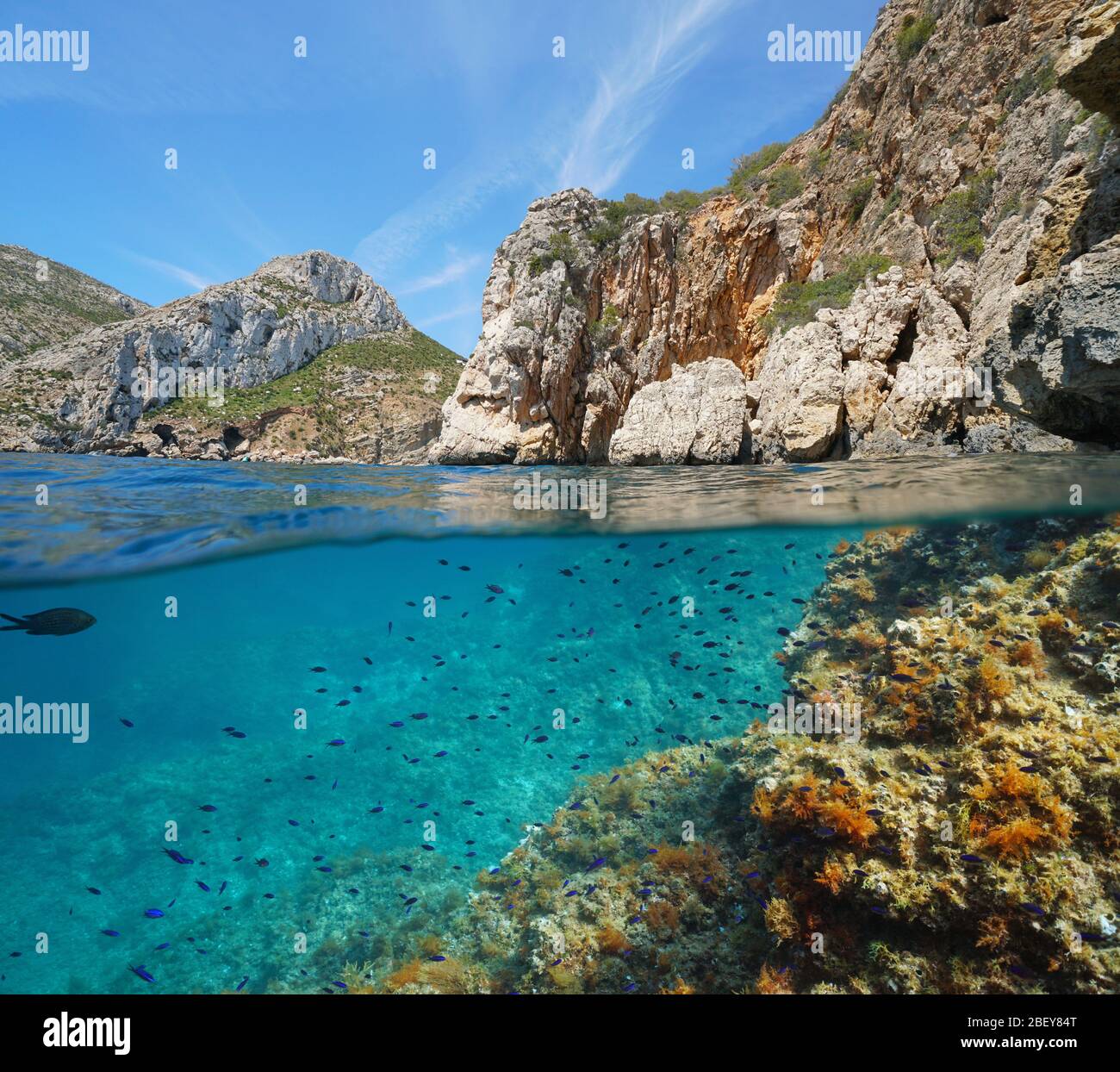 Mediterranean sea rocky coast in Spain with fish underwater (damselfish ...