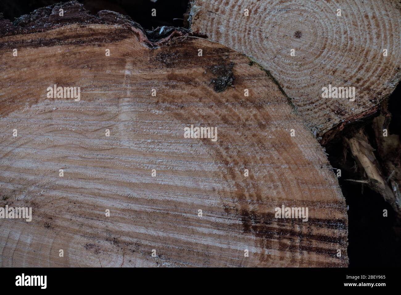 A cyclist on the Cole Green Way, a disused railway line between ...