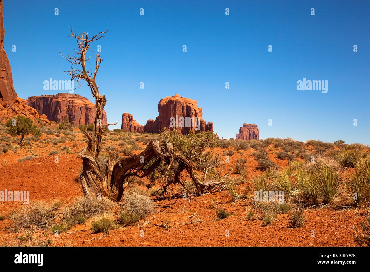 Old tree stump and the buttes of Monument Valley, Utah, USA Stock Photo ...