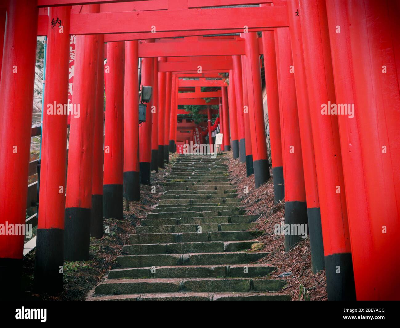 Torii gates red stairs hi-res stock photography and images - Alamy