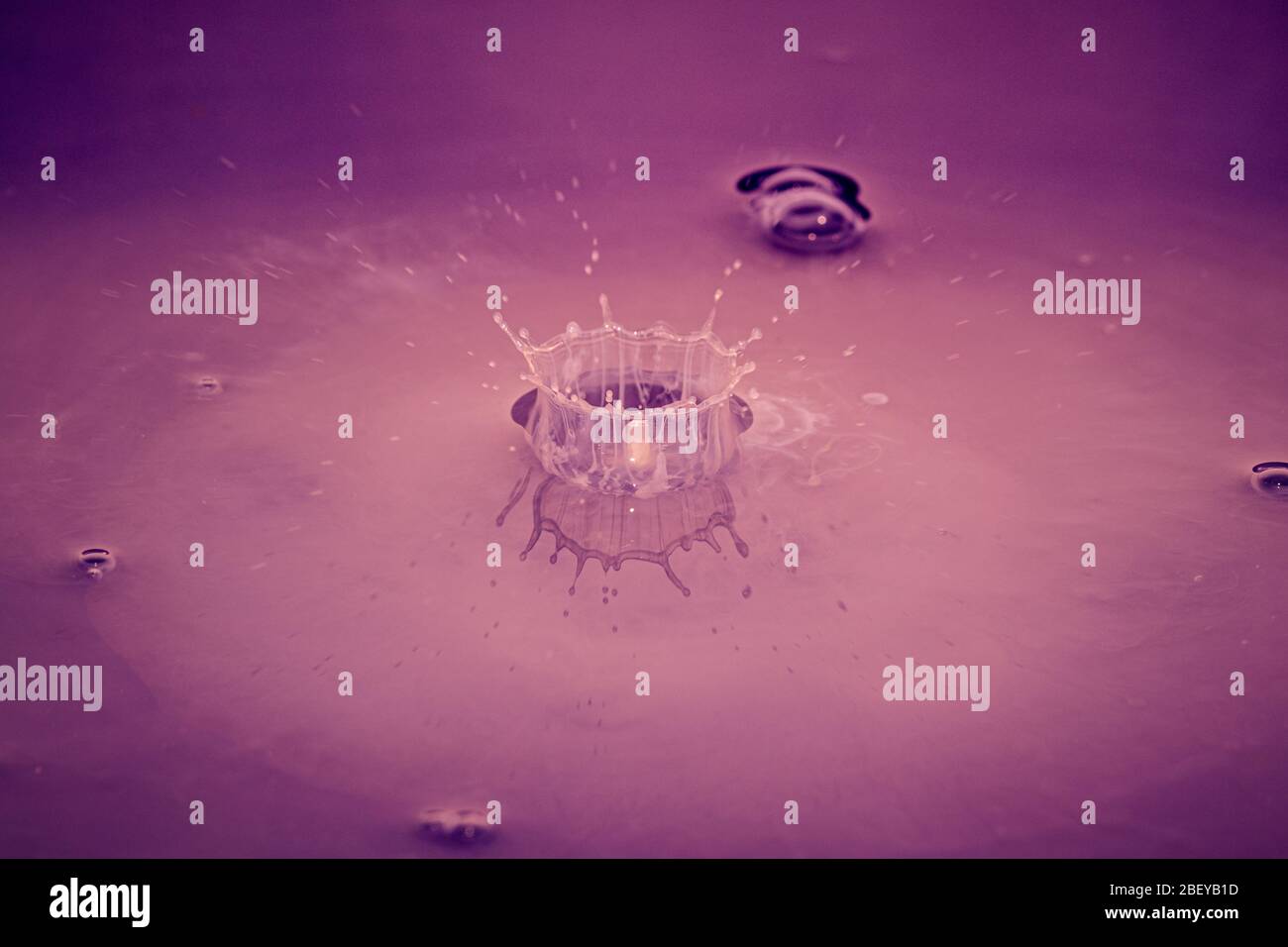 Splash of water crown on red surface Stock Photo - Alamy