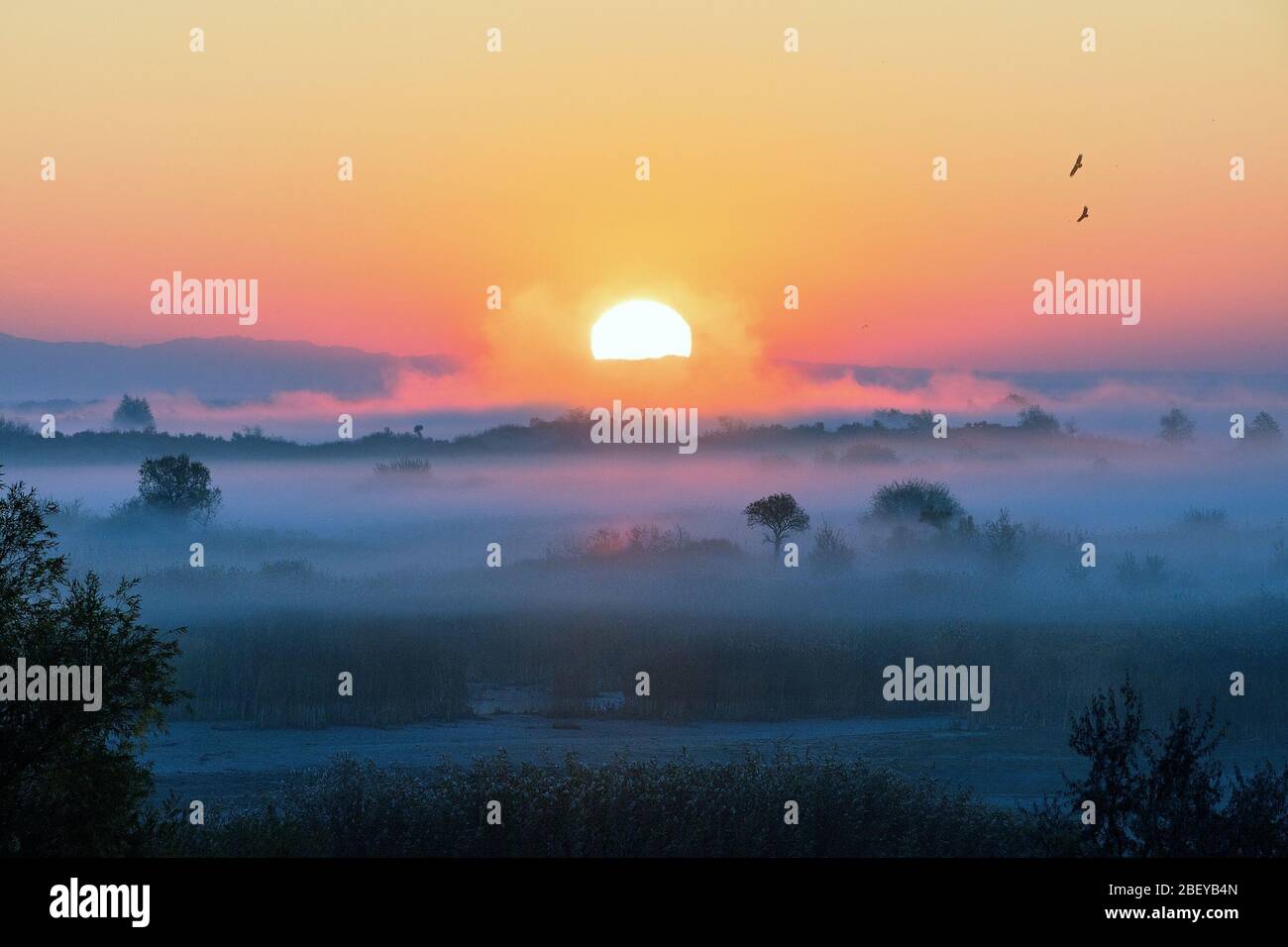 Sunset With 2 Moons Earth