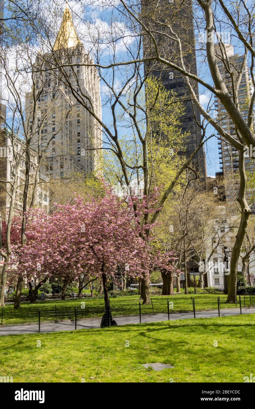 Springtime is beautiful in Madison Square Park, NYC, USA Stock Photo ...