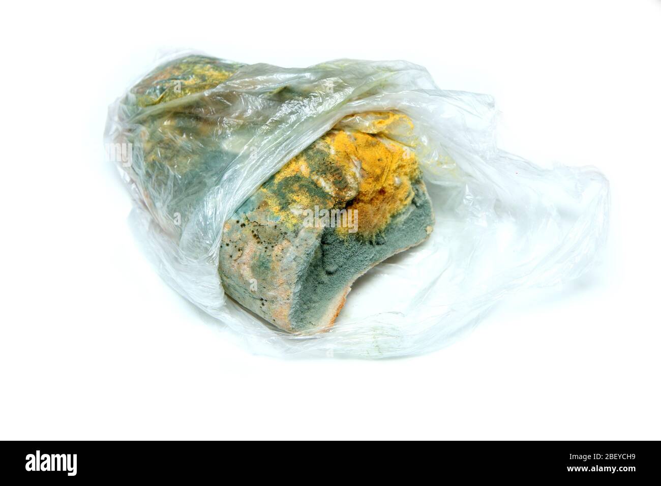 The picture of a fully mouldy bread because of the wrong storage in ...