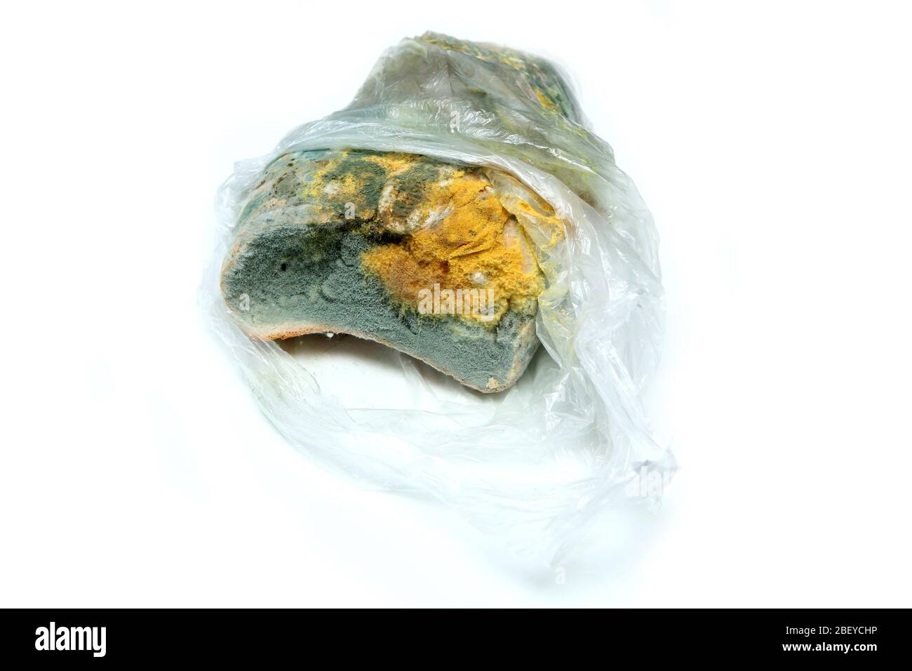 The picture of a fully mouldy bread because of the wrong storage in ...