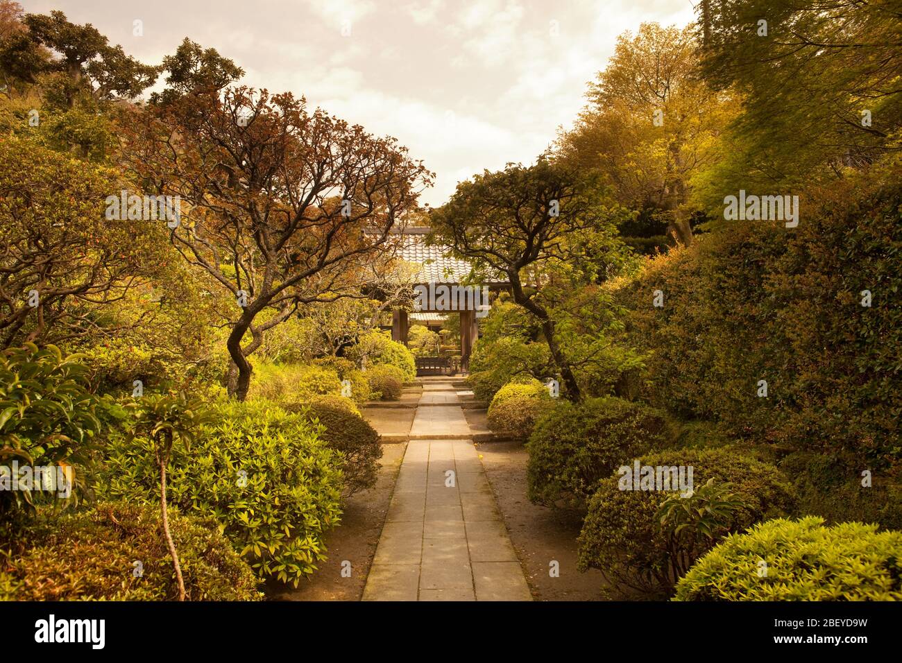 Tokyo vegetation hi-res stock photography and images - Alamy