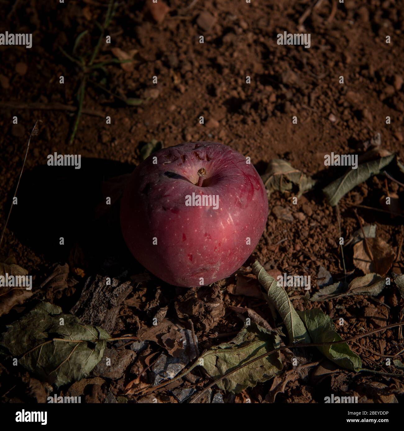 Ground wasting hi-res stock photography and images - Alamy