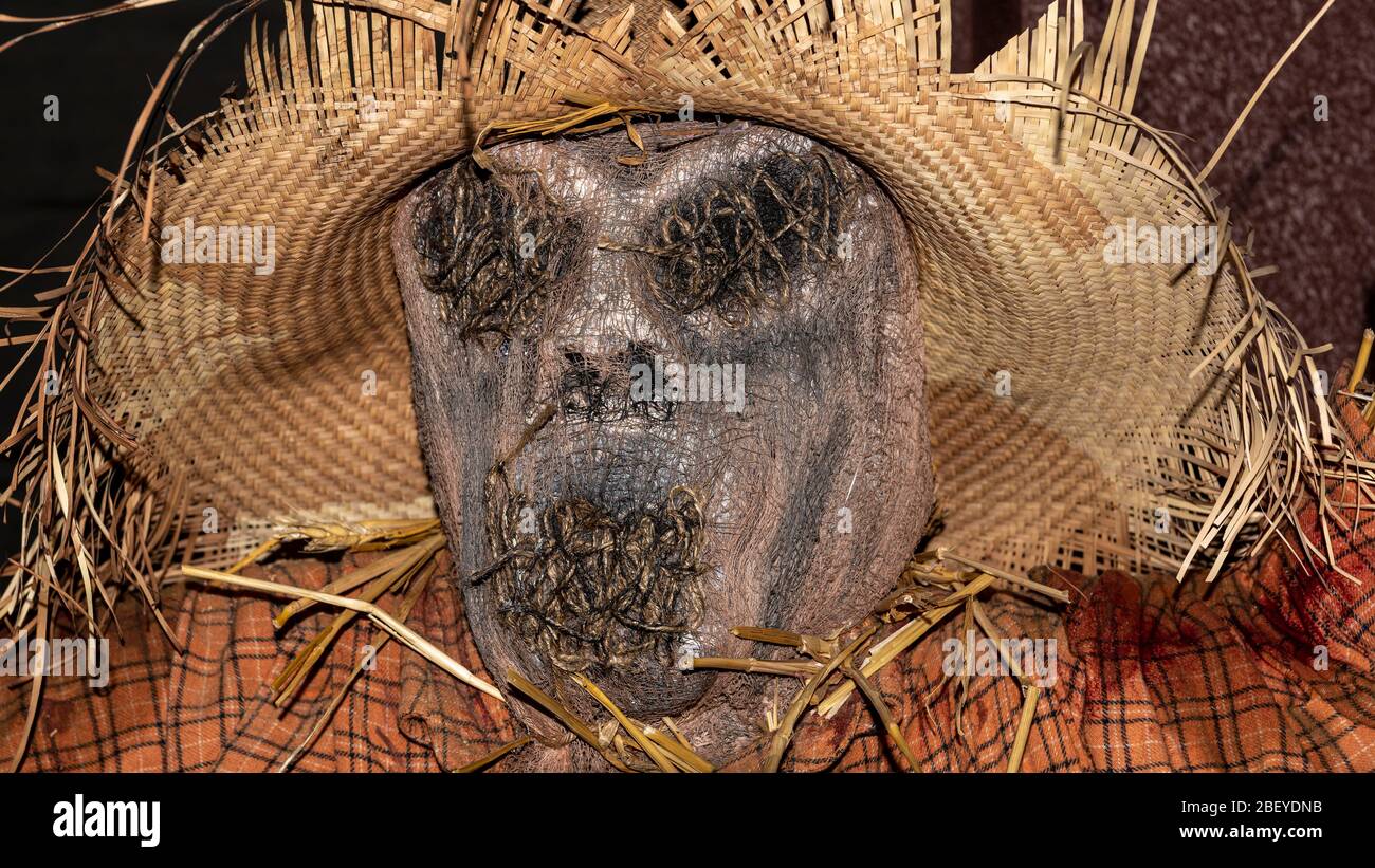 Close-up on the face of a scarecrow wearing a straw heat , Halloween ...