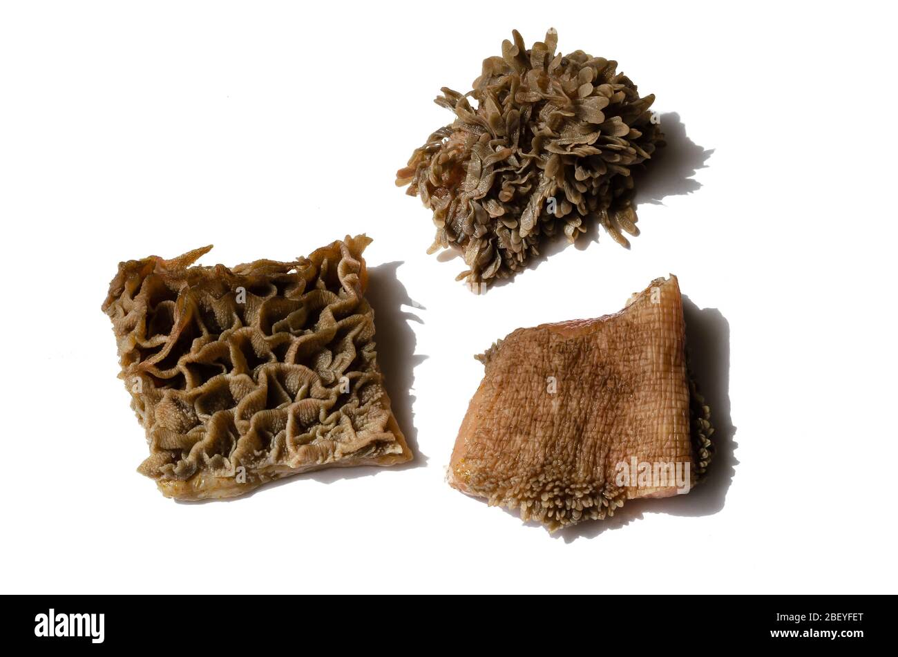 Slices of raw beef stomach. Small pieces of a cow s stomach close-up ...