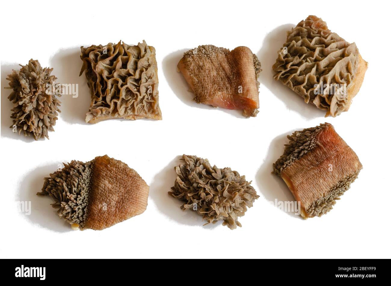 Slices of raw beef stomach. Small pieces of a cow s stomach close-up ...