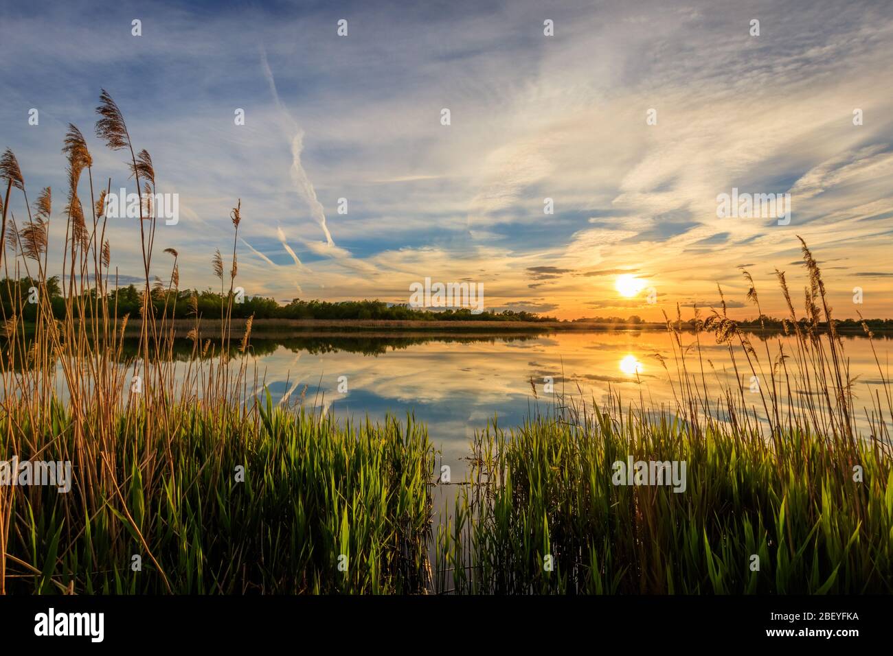 Scenic view of beautiful sunset above the pond at summer with cloudy ...