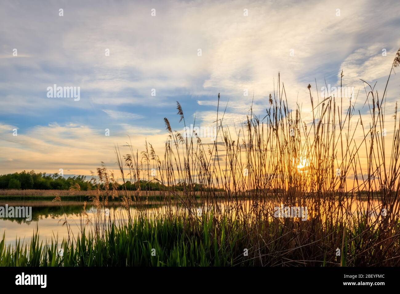 Scenic view of beautiful sunset above the pond at summer with cloudy ...