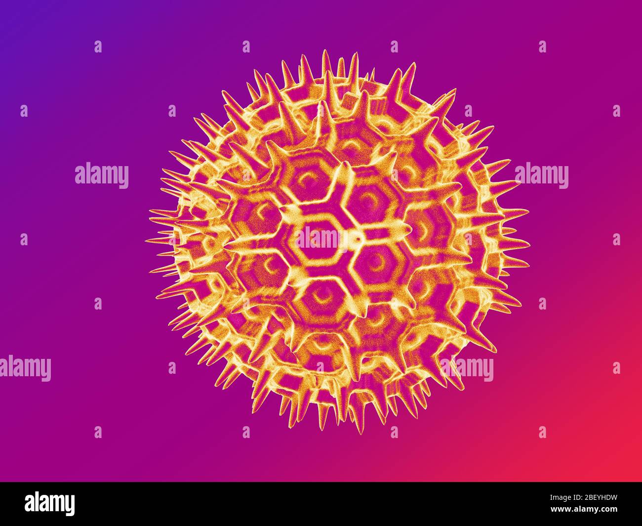 Microscope human cell images hi-res stock photography and images - Alamy