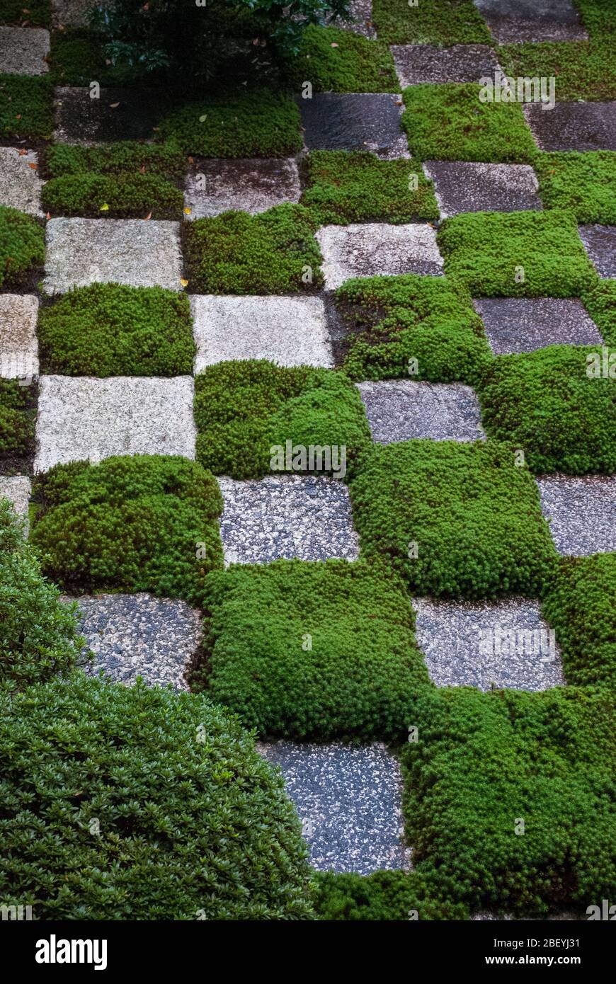 Kyoto moss garden hi-res stock photography and images - Alamy