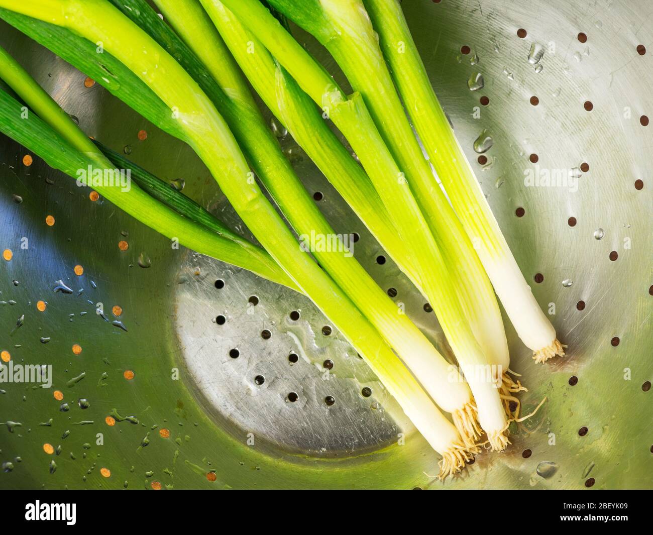 Onion stalks and stems hi-res stock photography and images - Alamy